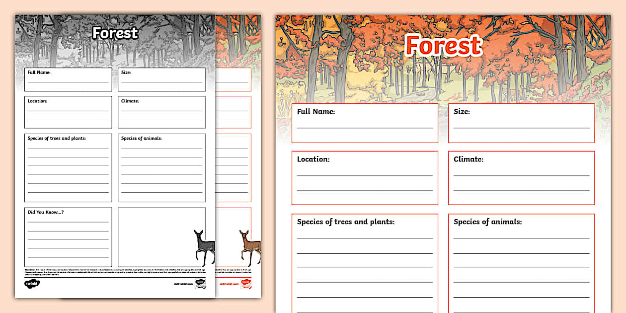Forest Fact File Template (teacher made) - Twinkl