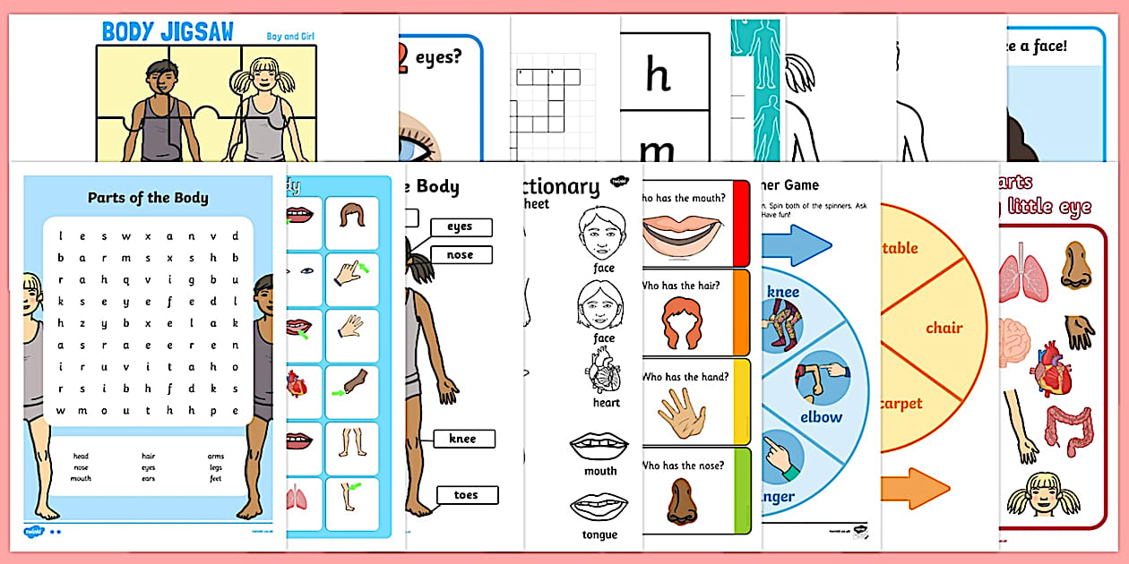 Body Parts And Their Uses Worksheet | SPHE Activities