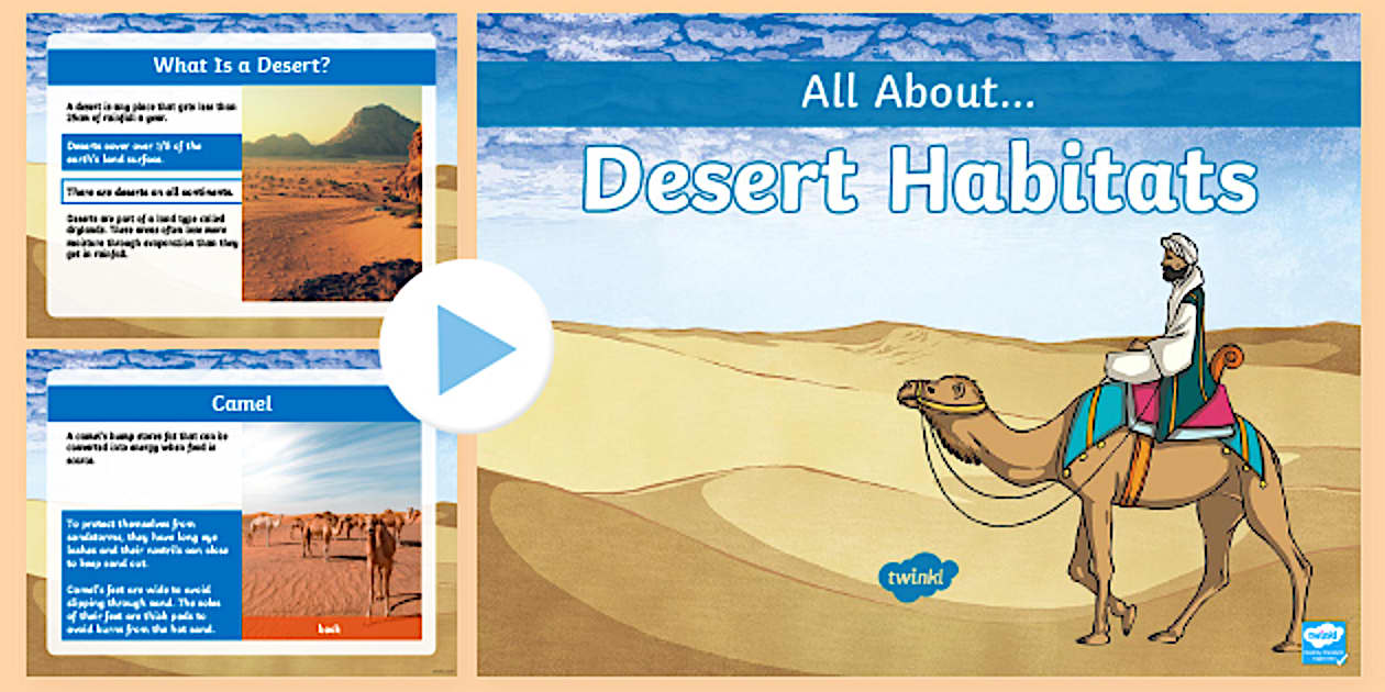 All About Desert Habitats PowerPoint (teacher made) - Twinkl
