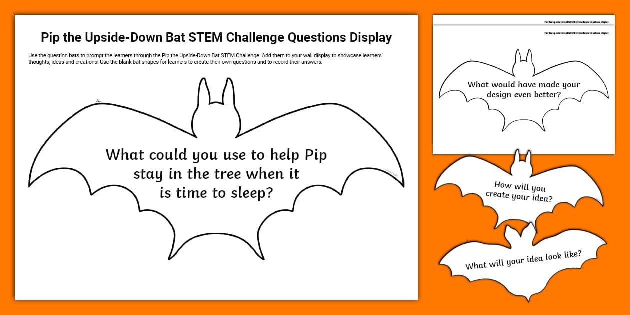 Pip the Upside-Down Bat STEM Challenge Questions Display