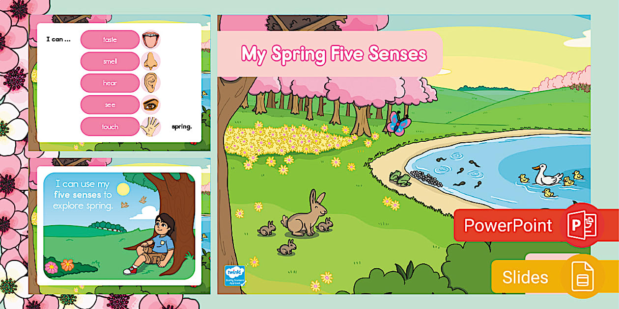 My Spring Five Senses PowerPoint & Google Slides for K-2nd Grade