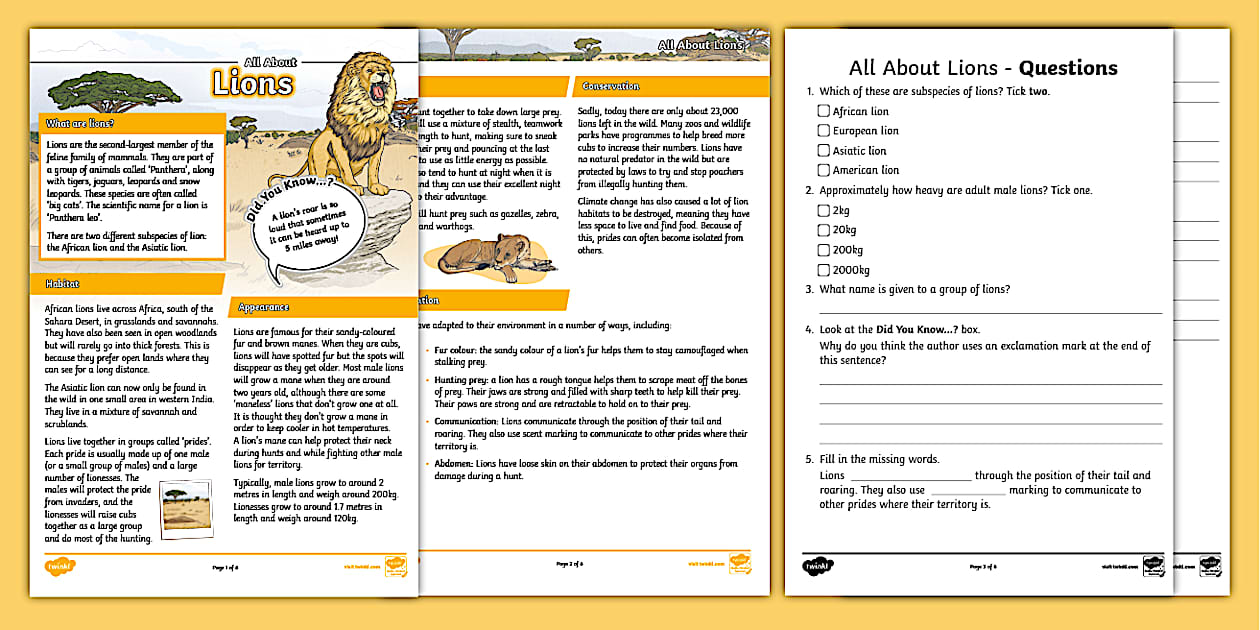 UKS2 All About Lions Reading Comprehension Activity - Twinkl