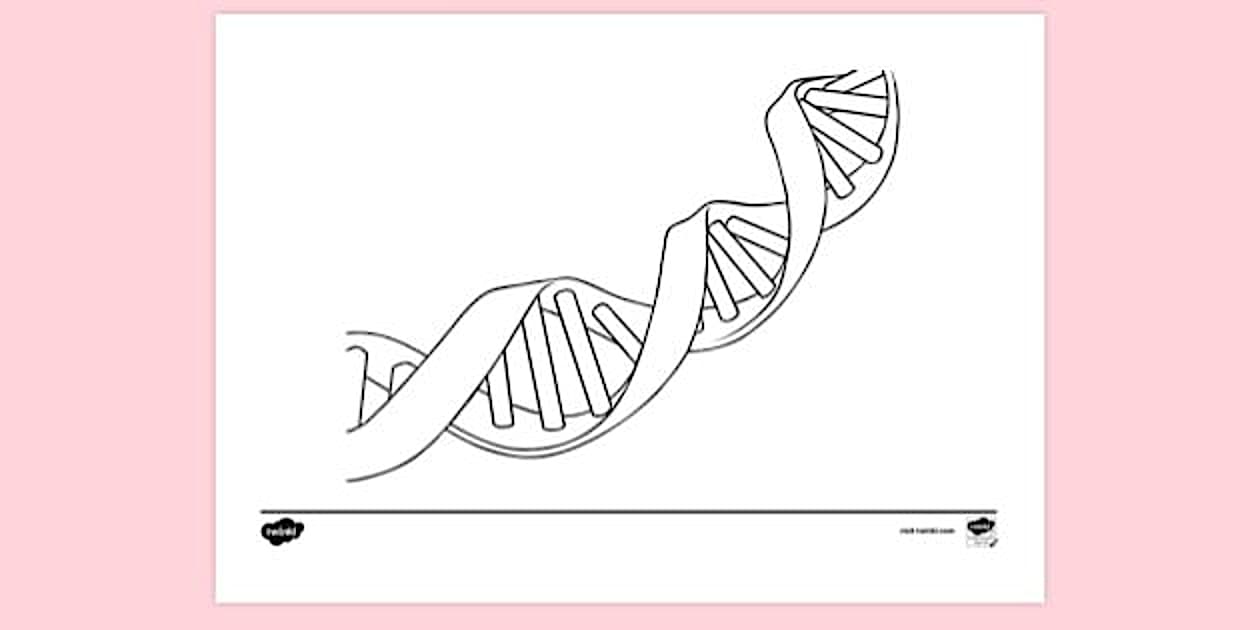 Gene Colouring | Colouring Sheets (Teacher-Made) - Twinkl