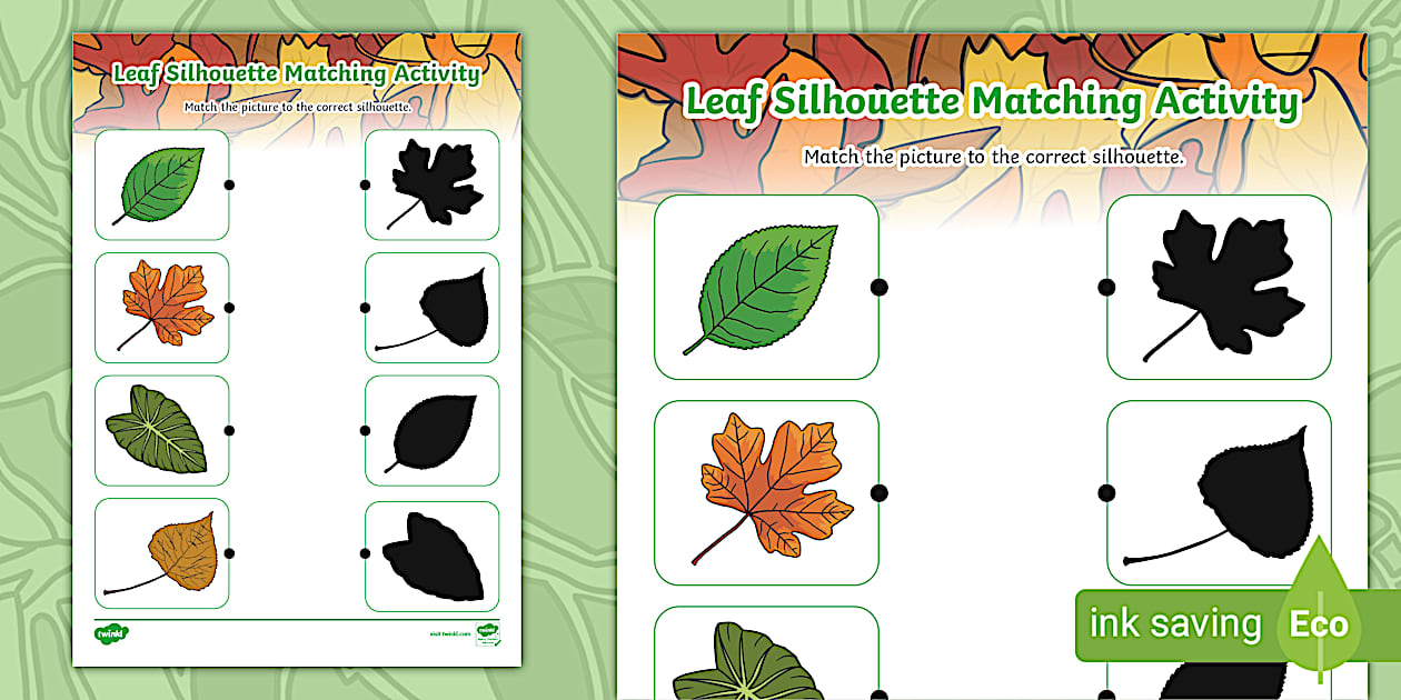 Leaf Silhouette Matching Activity (Teacher-Made) - Twinkl
