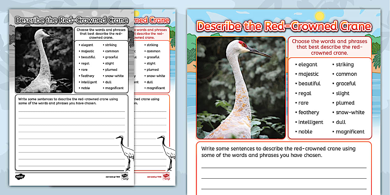 Describe the Red-Crowned Crane Worksheet (teacher made)