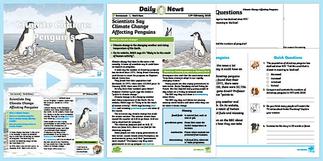 UKS2 Climate Change Affects Penguin Daily News Resource Pack