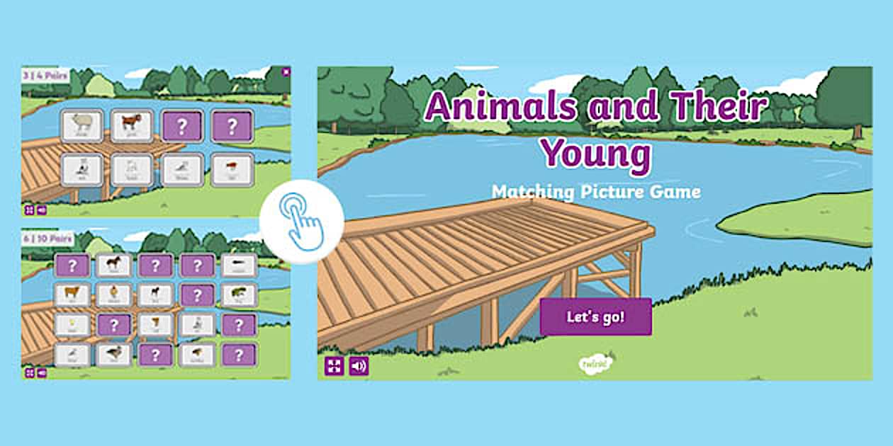 Animals and Their Young Matching Picture Game (teacher made)