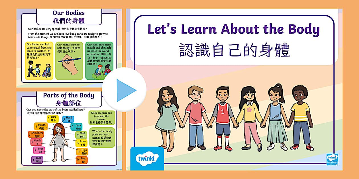 認識自己的身體｜ Let's Learn About My Body PowerPoint｜中英雙語