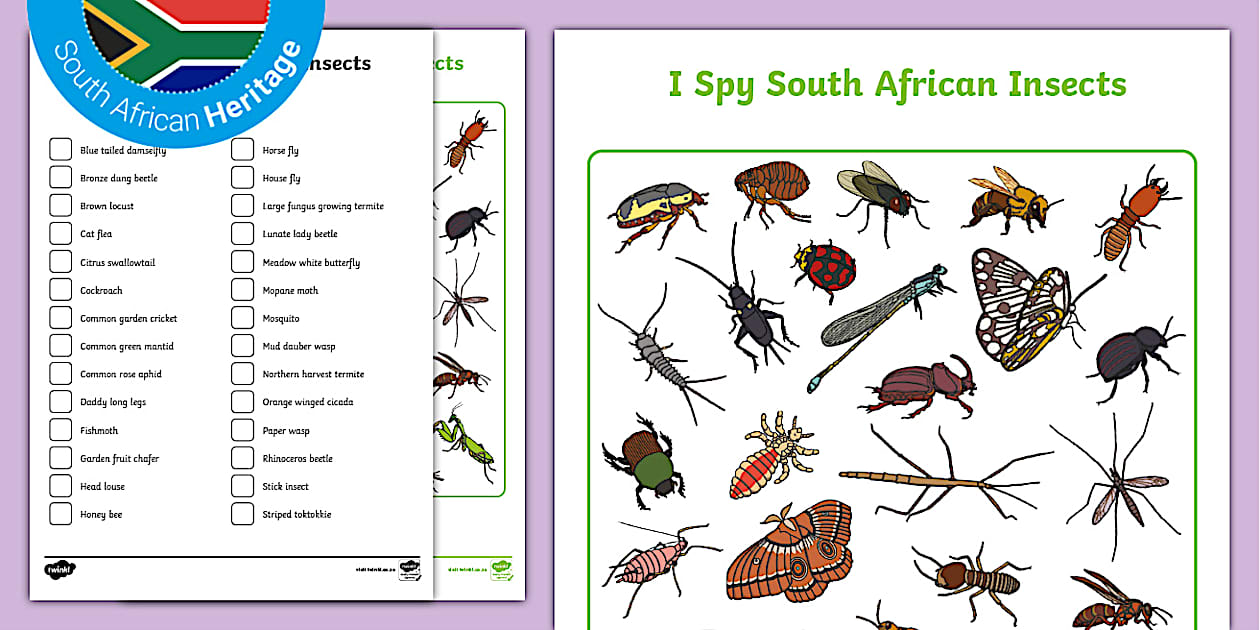 South African Bugs I Spy Game - Visual Discrimination