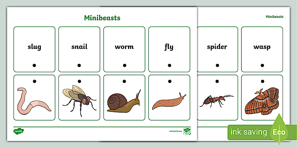Minibeasts Thread Matching Activity (teacher made) - Twinkl