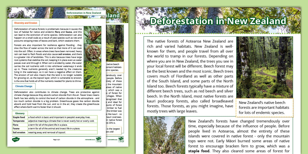 Human Impact: Deforestation Fact File (l'enseignant a fait)
