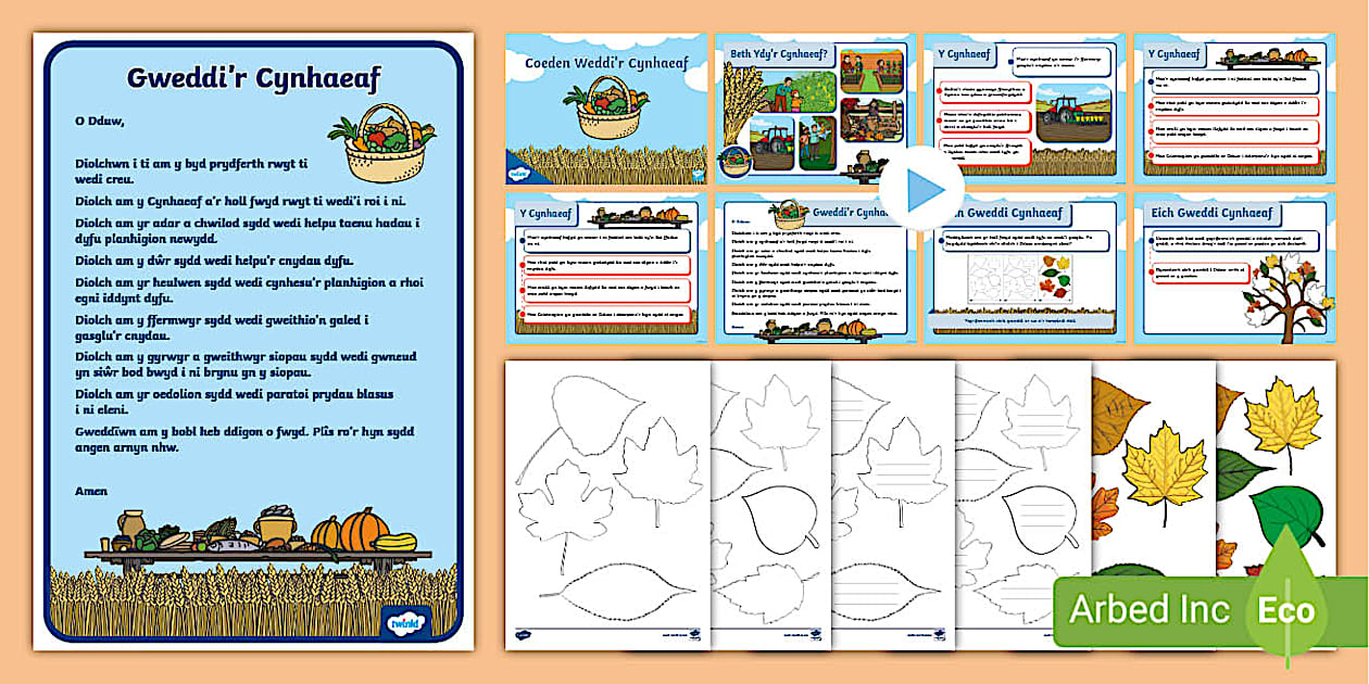 Pecyn Gweithgaredd Coeden Weddi'r Cynhaeaf (teacher made)