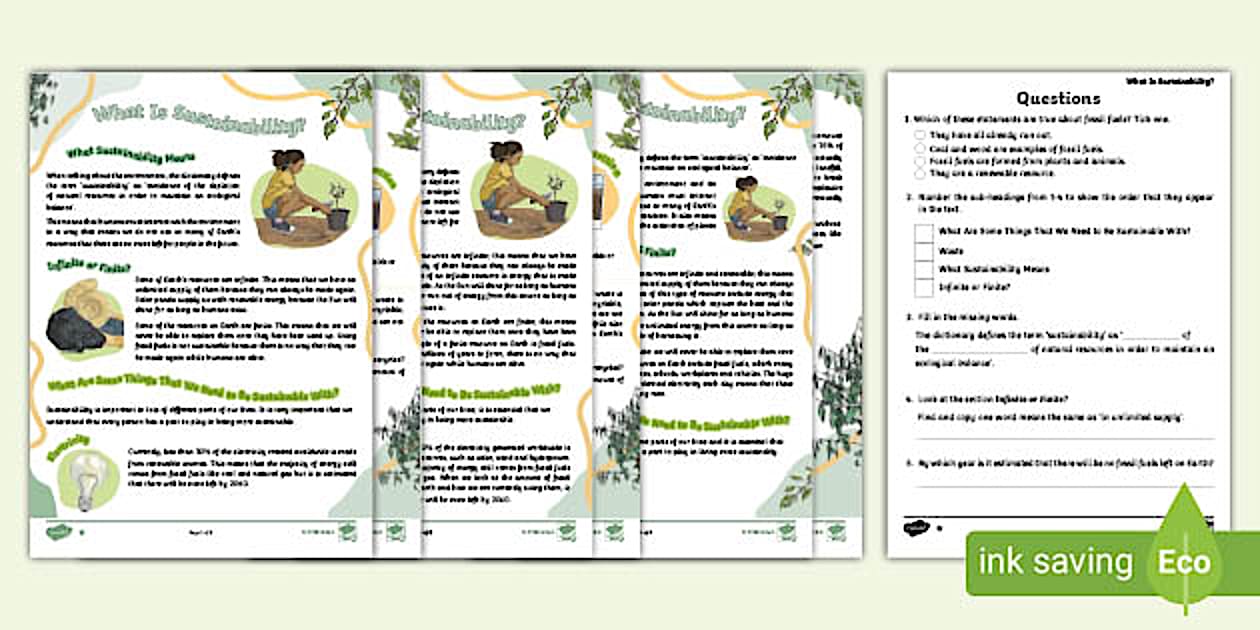 UKS2 What Is Sustainability? Differentiated Reading Activity