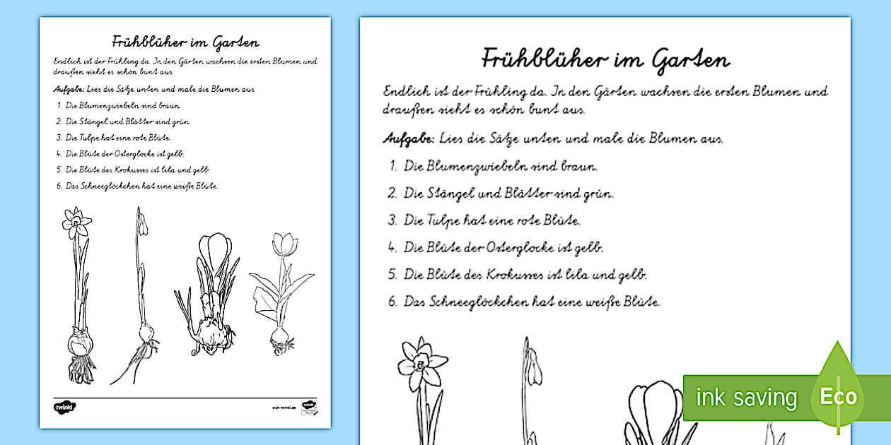 Frühblüher: Lese- und Ausmalblatt I Frühblüher ausmalen