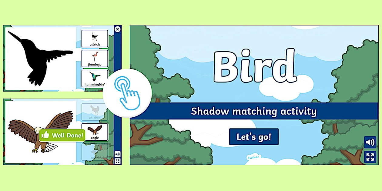 Interactive Bird Shadow Matching Activity | Twinkl Go!