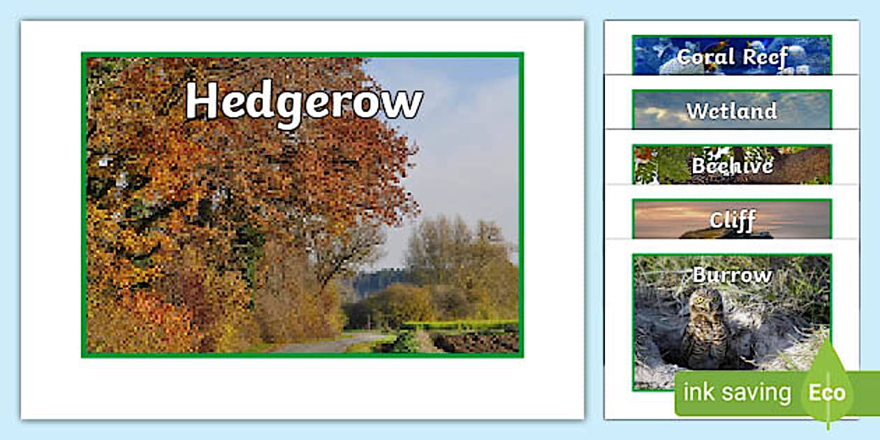 Biodiversity Habitat Photo Pack | Habitat Display Board