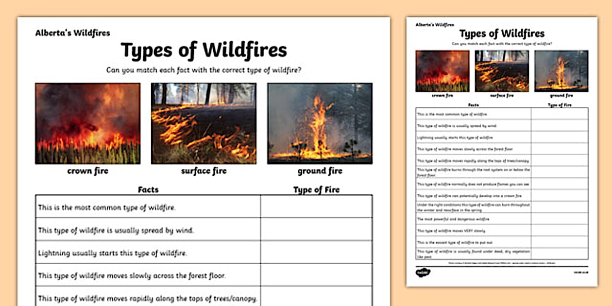 Alberta’s Wildfires | Types of Wildfires Worksheet