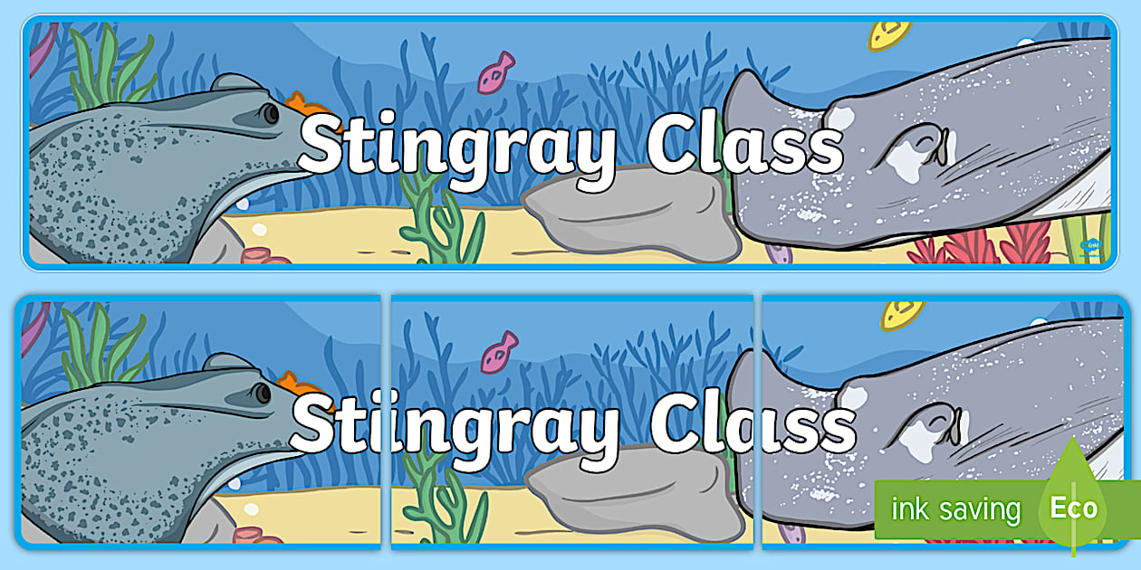 👉 Stingray Class Display Banner (teacher made) - Twinkl