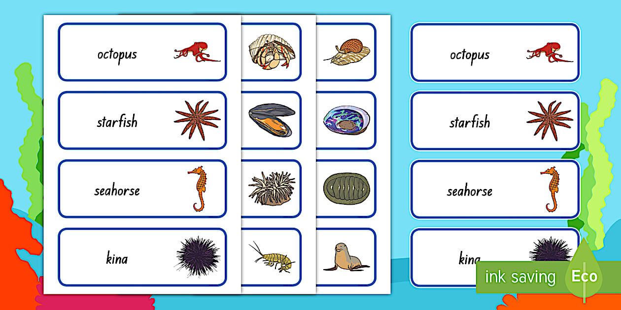 Rocky Shore Word Cards (Teacher-Made) - Twinkl