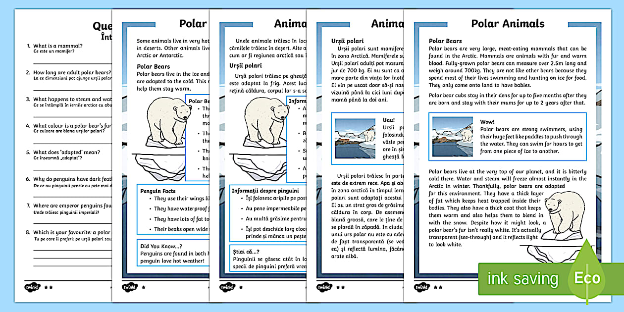 Middle Ability Polar Animals Differentiated Reading Comprehension