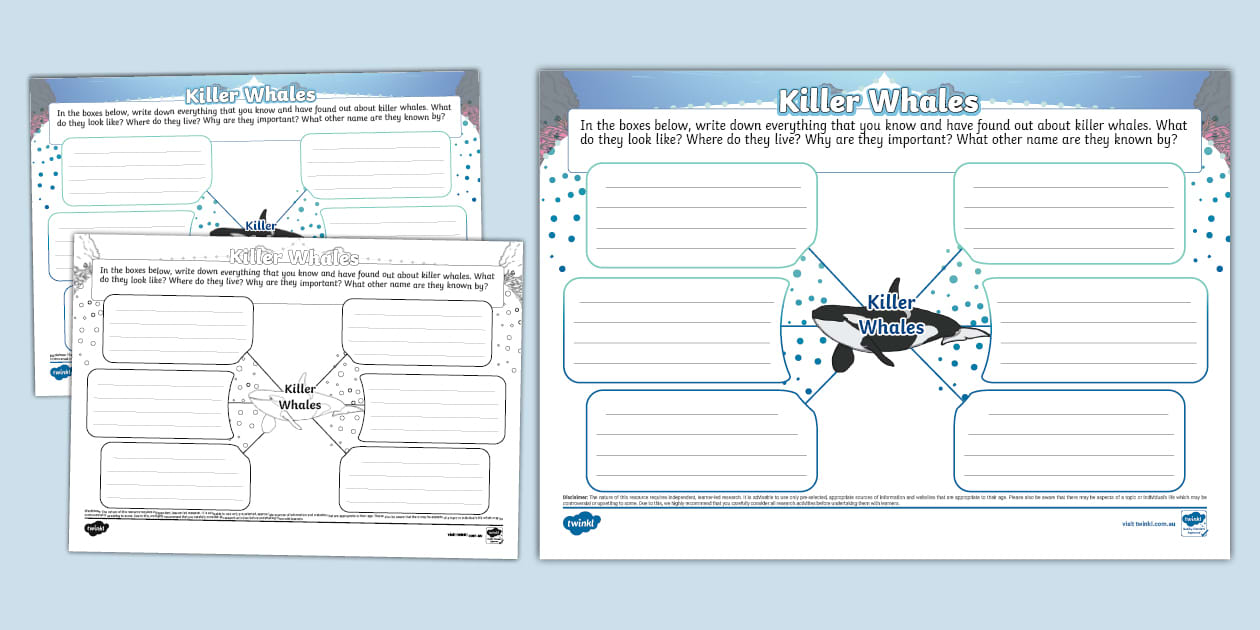 Killer Whales or Orcas Mind Map (teacher made) - Twinkl