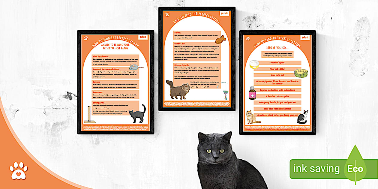 How to Find the Perfect Cattery Information Sheet - Pets