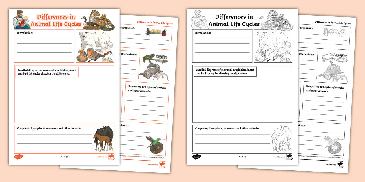 Differences in Animal Life Cycles Non-Chronological Report