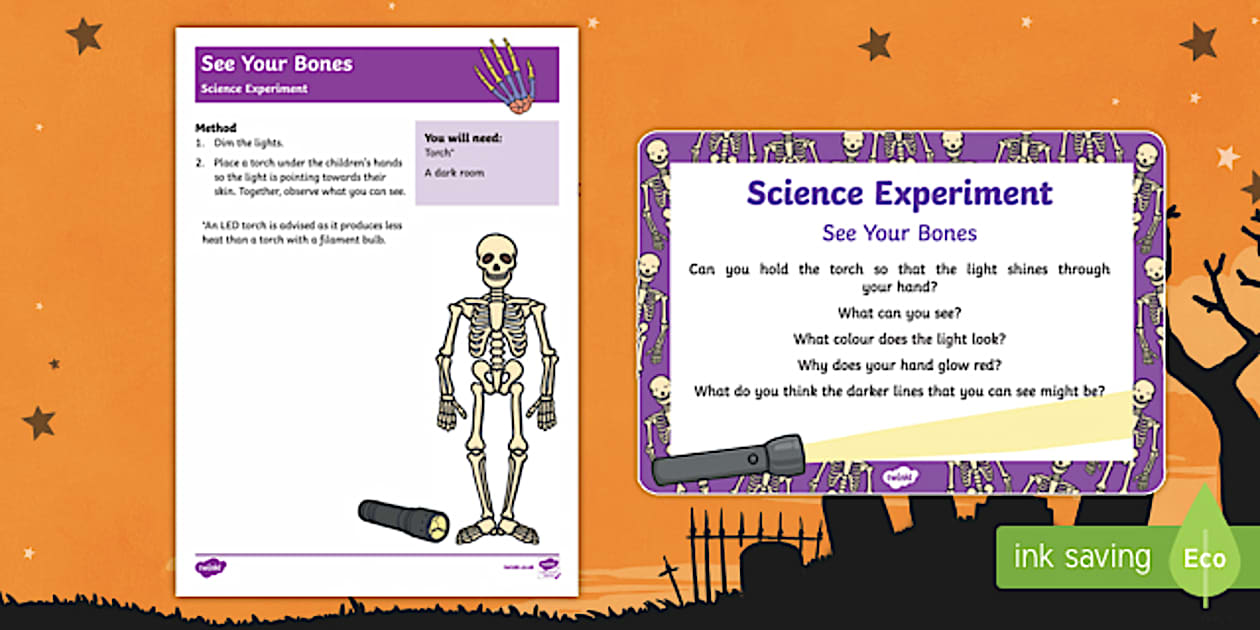 Kindergarten See Your Bones Science Experiment and Prompt Card Pack