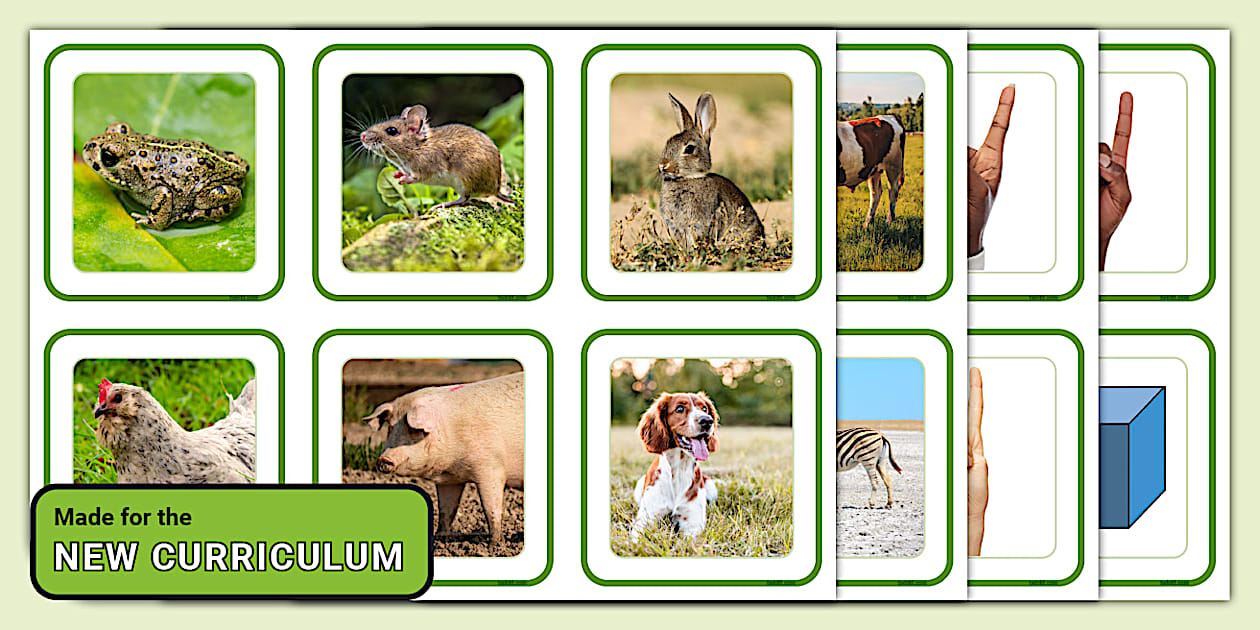 Number 1 (Animal) Matching Activity