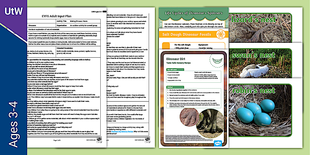 EYFS Making Dinosaur Nests Adult Input Plan & Resource Pack