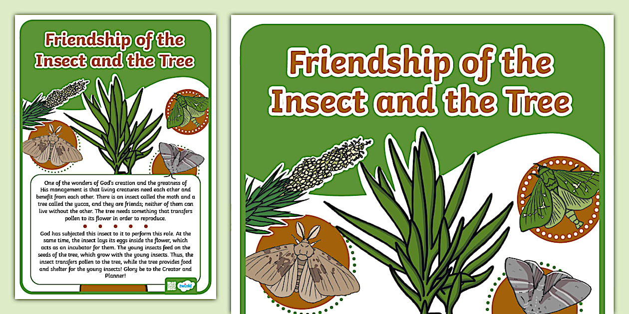 Poster: Friendship of the insect and the tree (teacher made)