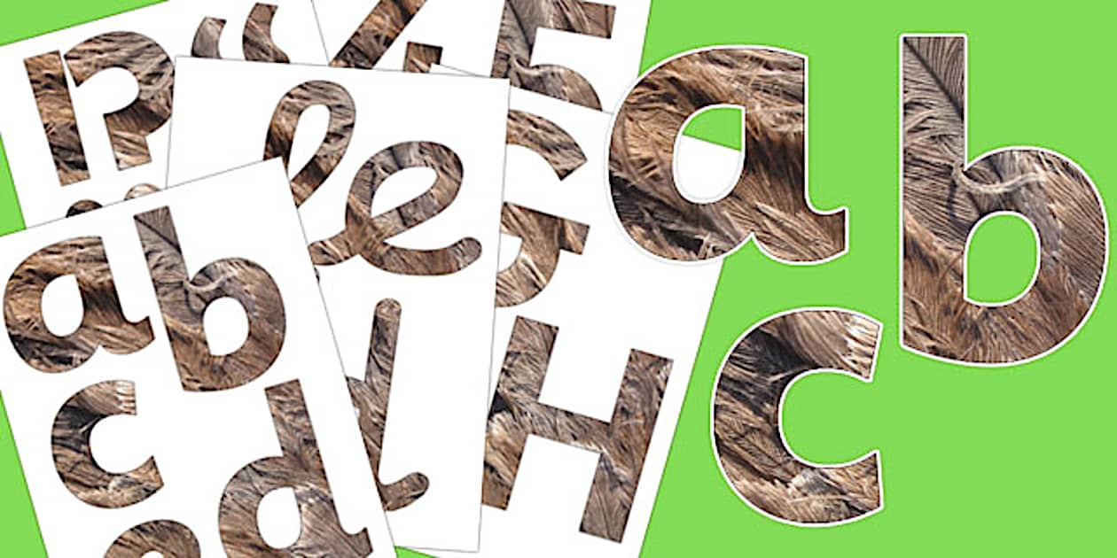 Editable Feather Texture Display Letters and Numbers Pack