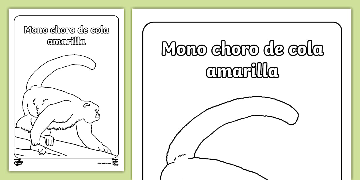 Hoja para colorear: Mono choro de cola amarilla - Twinkl