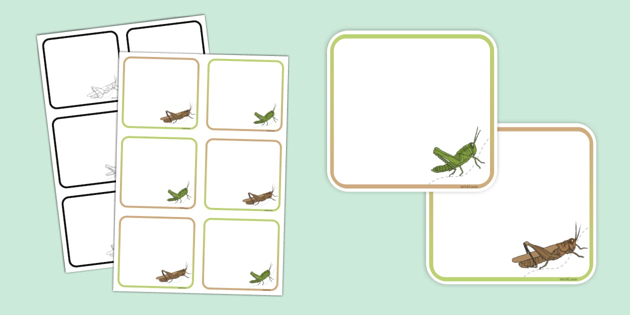Grasshopper Peg Labels (Teacher-Made) - Twinkl