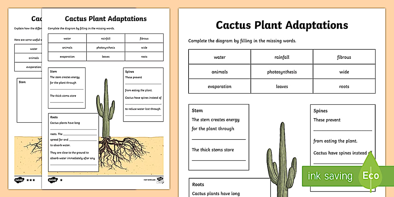 Cactus Plant Differentiated Worksheet / Worksheets - Twinkl