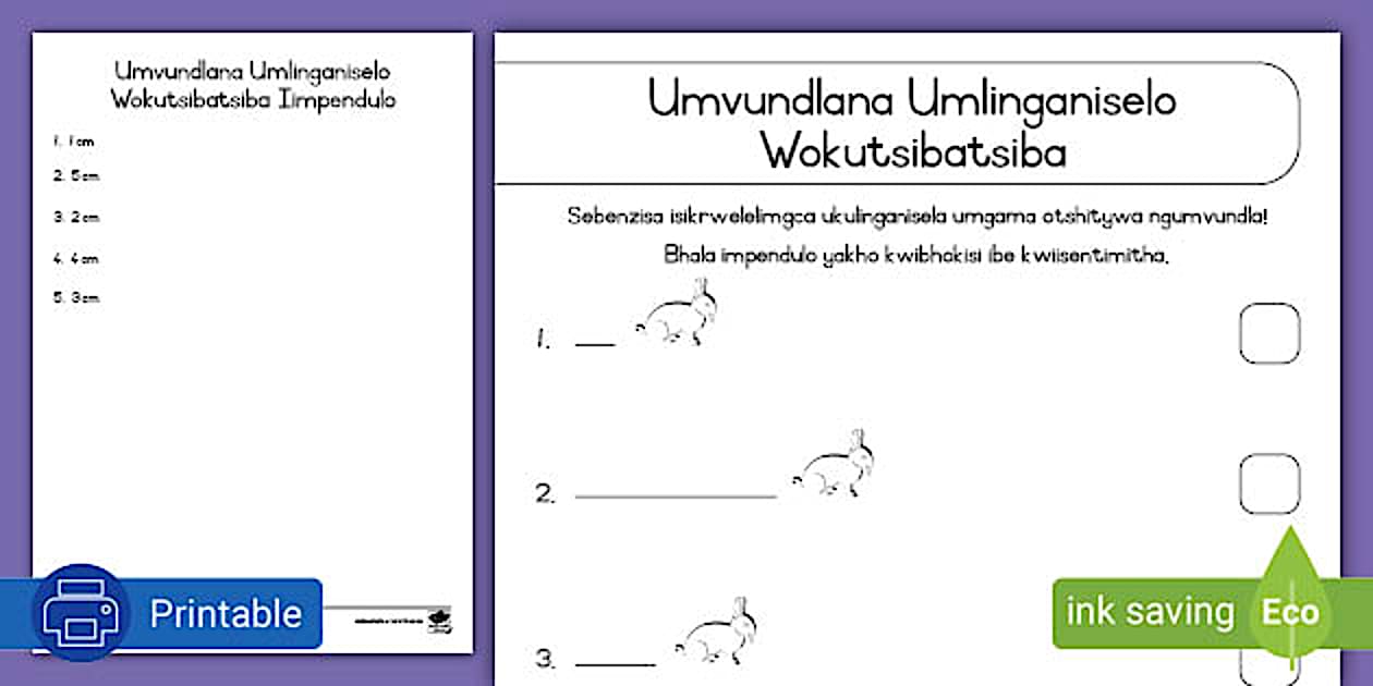 Umvundlana Umlinganiselo Wokutsibatsiba (Teacher-Made)