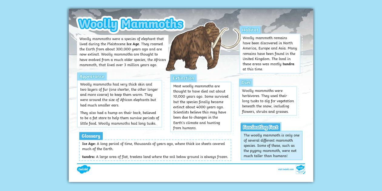 Woolly Mammoth Fact File - KS2 (teacher made) - Twinkl