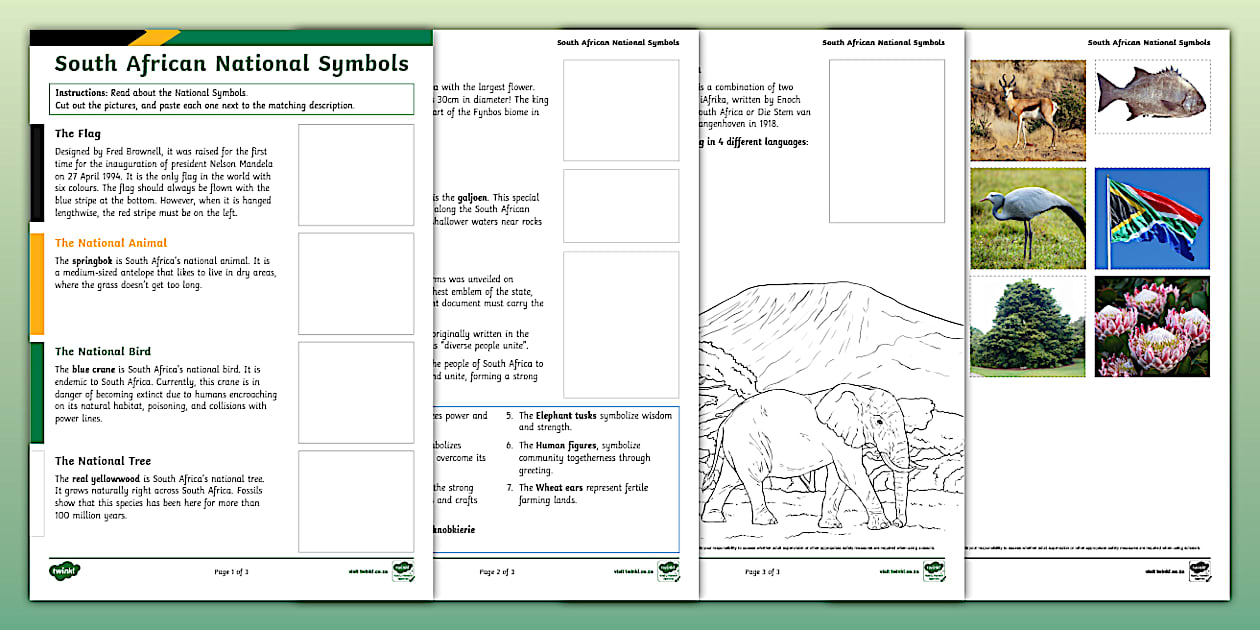 Printable South African National Symbols Worksheet - Twinkl
