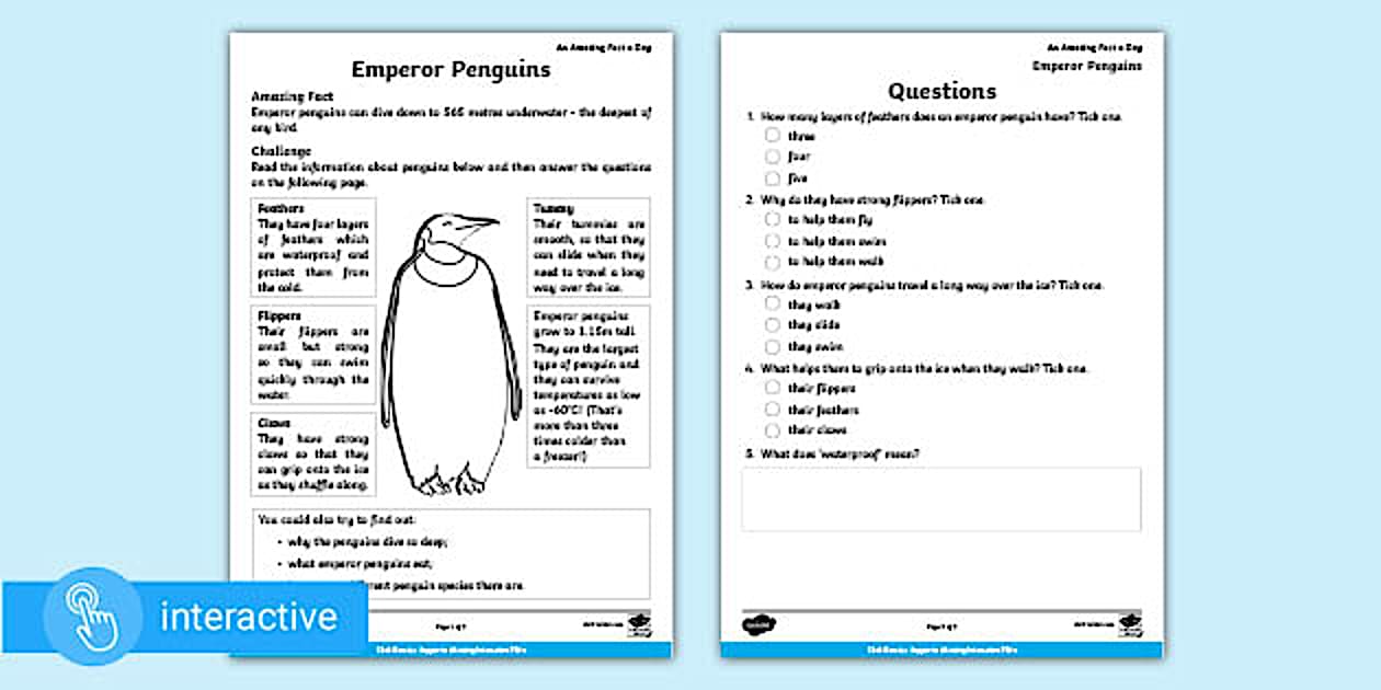 Editable Interactive PDF: Emperor Penguin Reading Comprehension Worksheet
