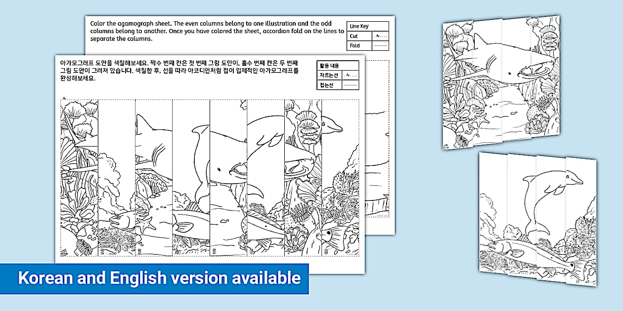 바다 아가모그래프 | The Ocean Agamograph - Twinkl