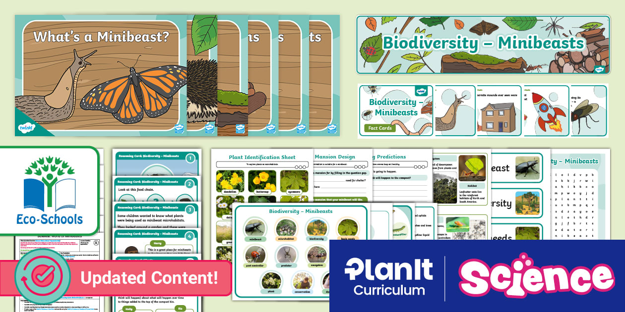 Science: Biodiversity - Minibeasts: Unit Pack Year 2