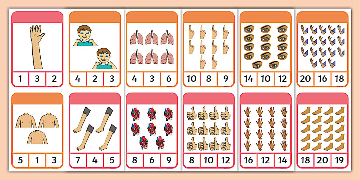 Body Part Peg Counting 1-20 Number Cards (teacher made)