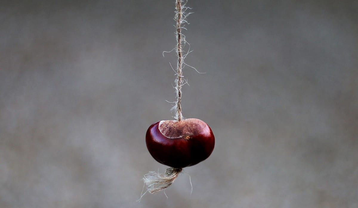 World Conker Championships - Twinkl NewsRoom - Twinkl