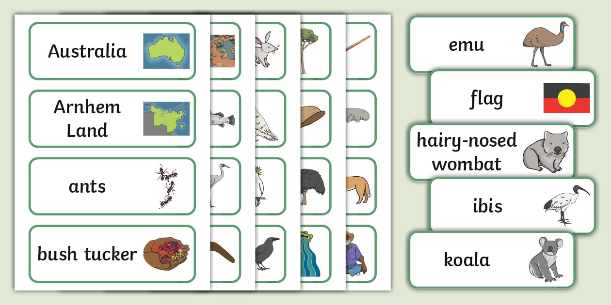 Indigenous Word Wall - Australian (Teacher-Made) - Twinkl