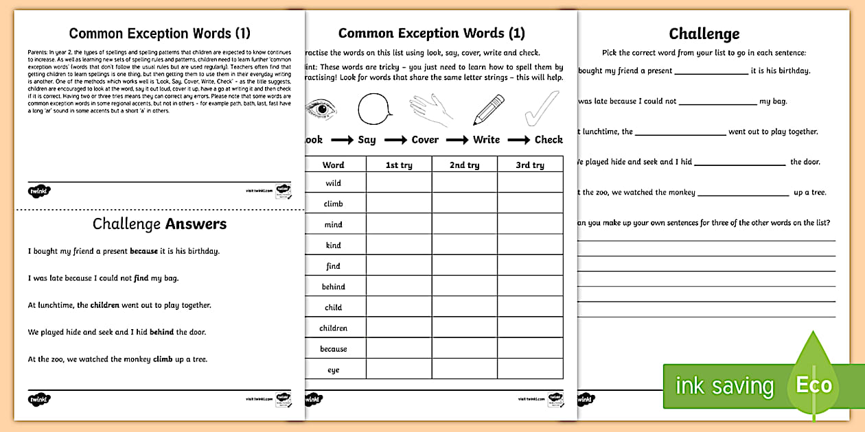 Year 2 Common Exception Words Practice Sheet - Worksheet
