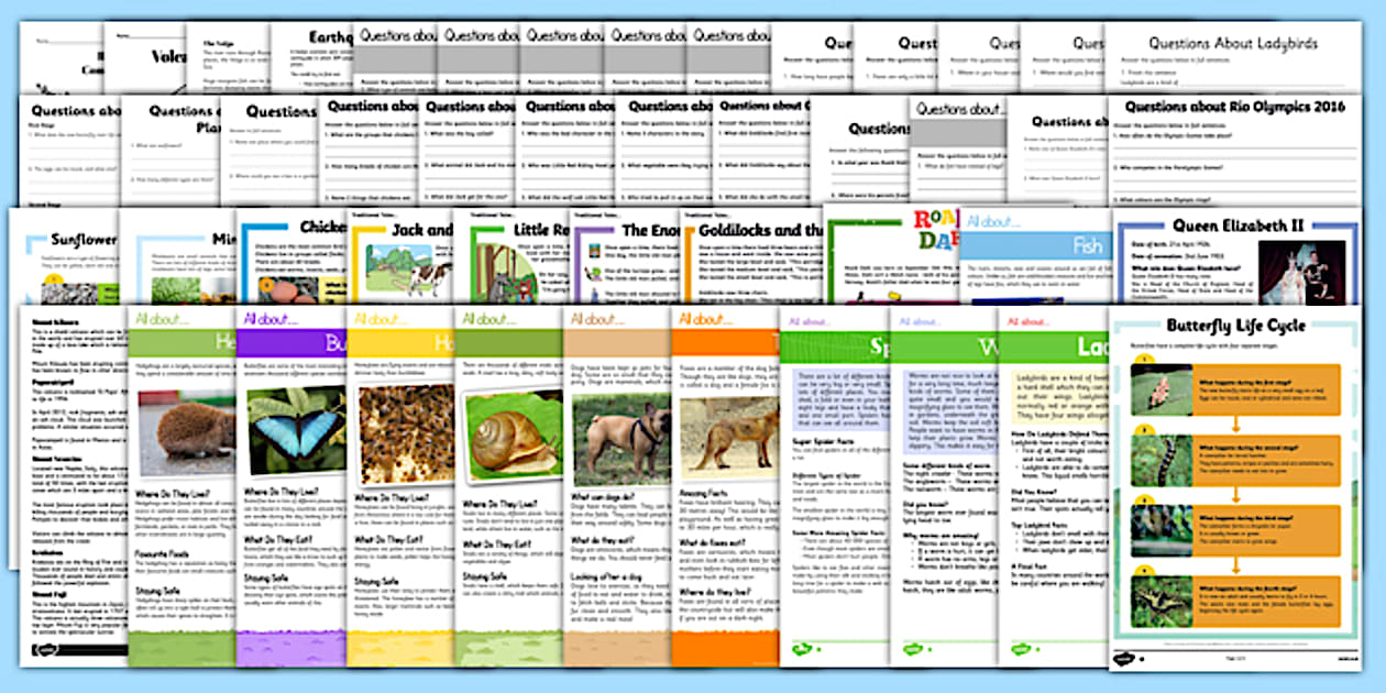 KS1 Reading Comprehension - Mixed Resource Pack - Twinkl