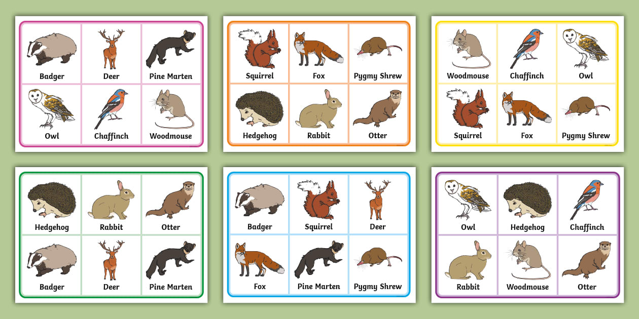 Woodland Animals in Northern Ireland Bingo