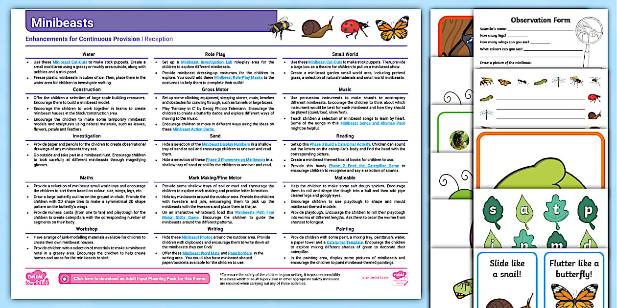 EYFS Minibeasts Continuous Provision Planning Ideas Pack