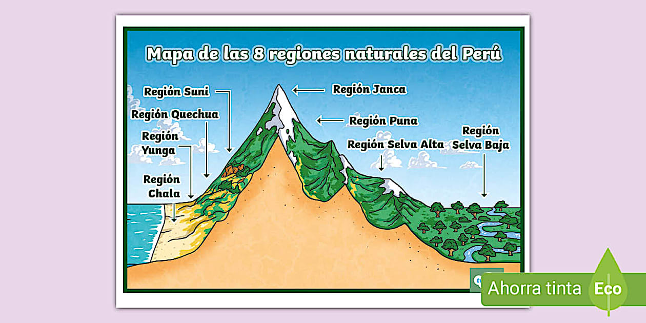 Afiche: Mapa de las 8 regiones naturales del Perú | Twinkl