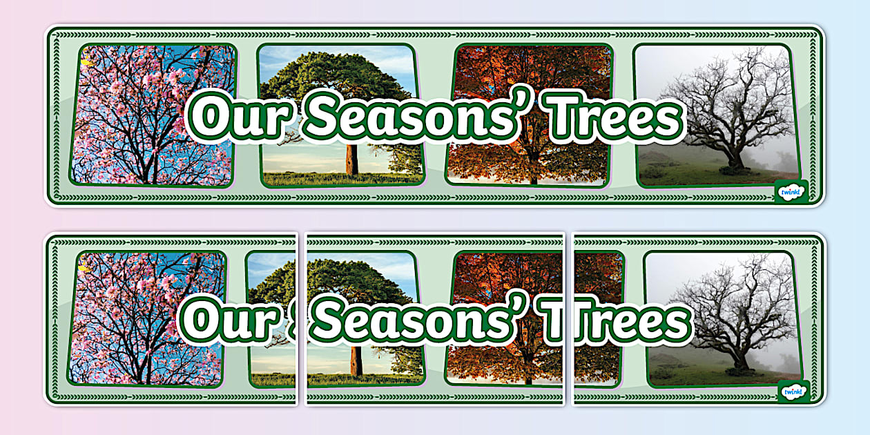 Our Seasons' Trees Photo Display Banner (teacher made)